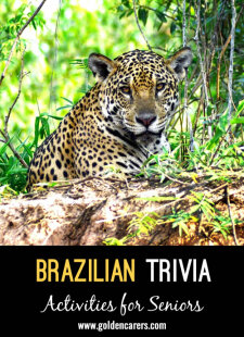 Brazil | Activity Ideas for Seniors & the Elderly