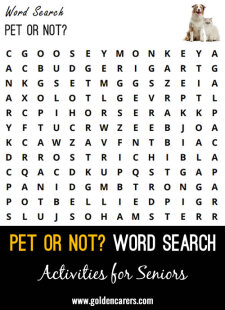 Word Search Activity Ideas for Seniors & the Elderly
