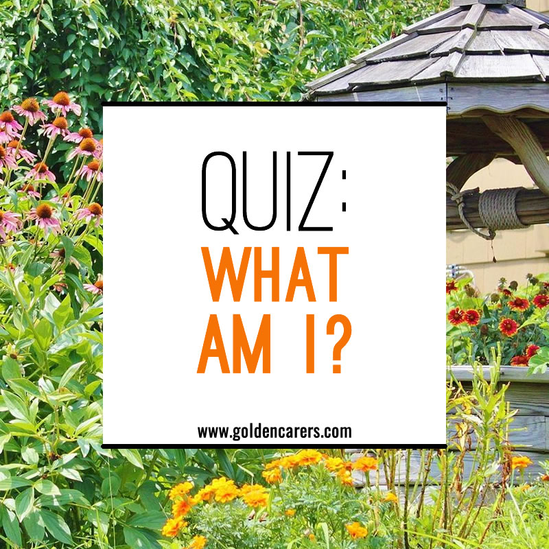 What Am I Quiz #3