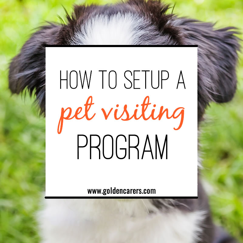 How to Setup a Pet Visiting Program