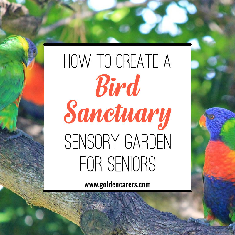 How to Create a Bird Sanctuary Sensory Garden for Seniors
