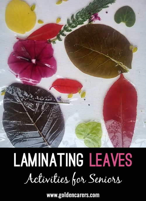 Laminating leaves
