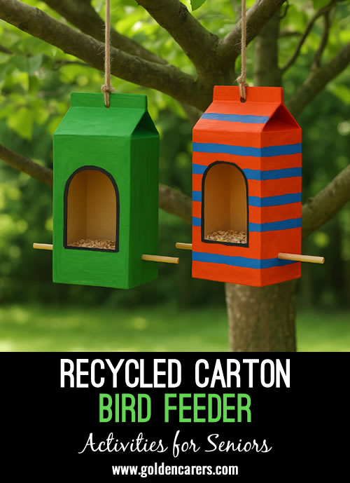 Recycled Carton Bird Feeder