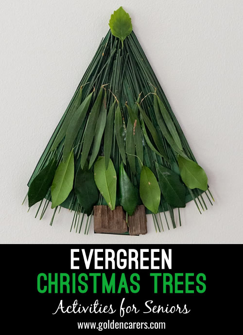 Evergreen Christmas Trees