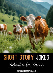 Short Story Jokes #17