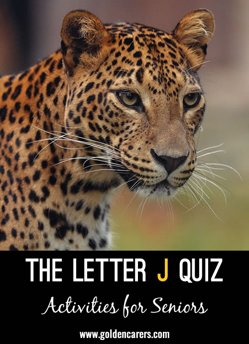 The Letter J Quiz #2