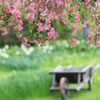 Two-Minute Activities for Dementia Care