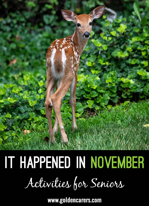 It Happened in November Quiz