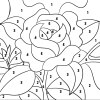 Color By Numbers - Rose