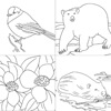 Canada Coloring Activity