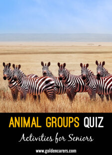 Animal Groups Quiz