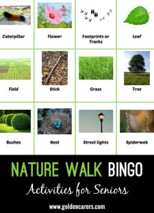 Nature Walk Bingo