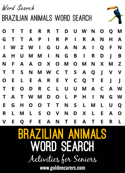 Brazilian Animals Word Search