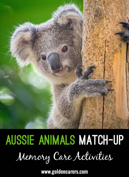 Aussie Animals Matching Game for Memory Care