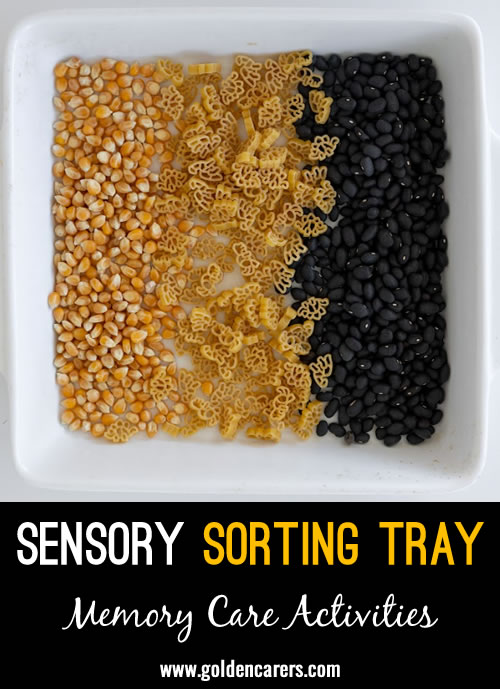 Sensory Sorting Tray