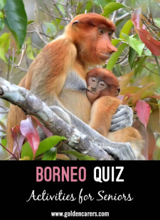 Borneo Quiz