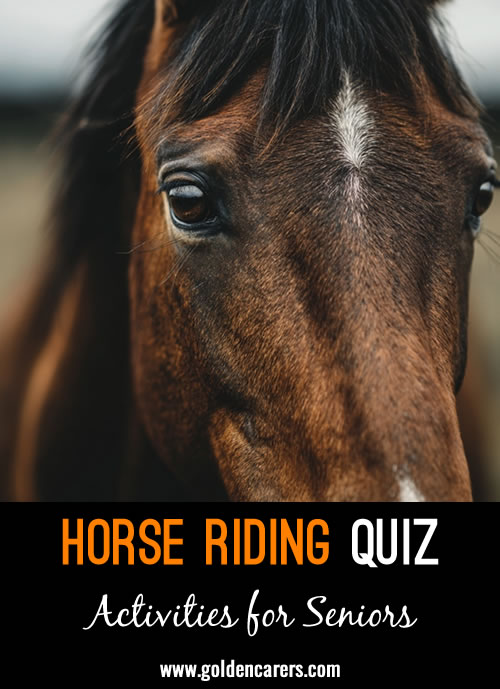 Horse Riding Quiz