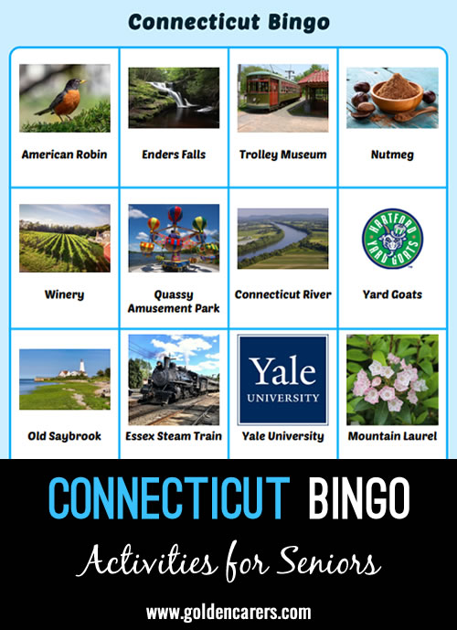 Connecticut Bingo