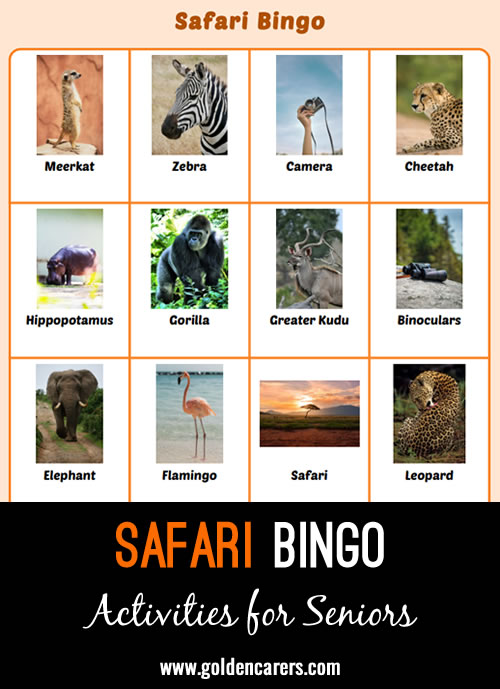 Safari Bingo