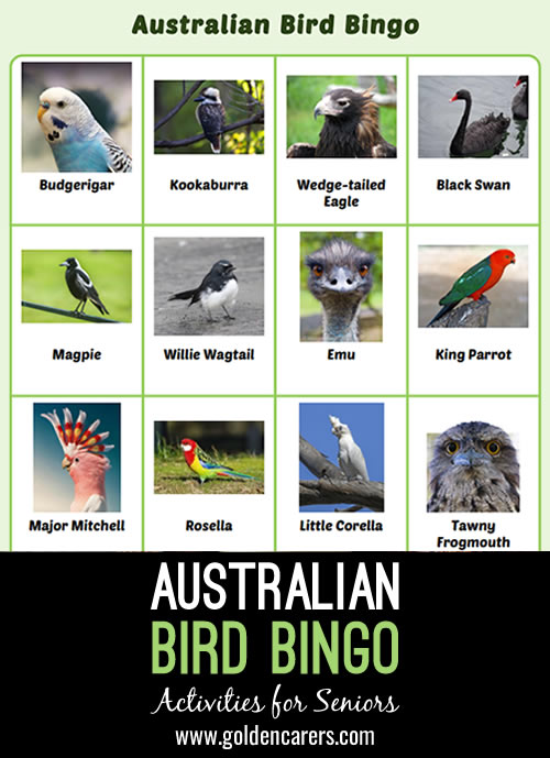 Australian Bird Bingo