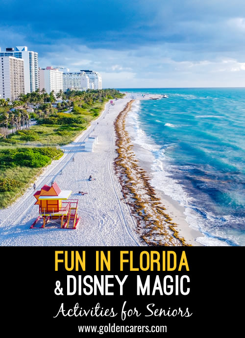 Fun in Florida & Disney Magic