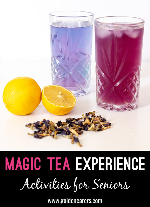 Magic Tea Experience