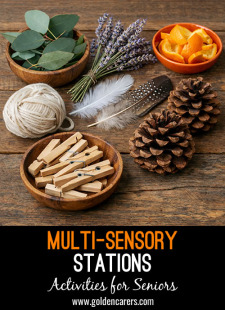 Multi-Sensory Stations