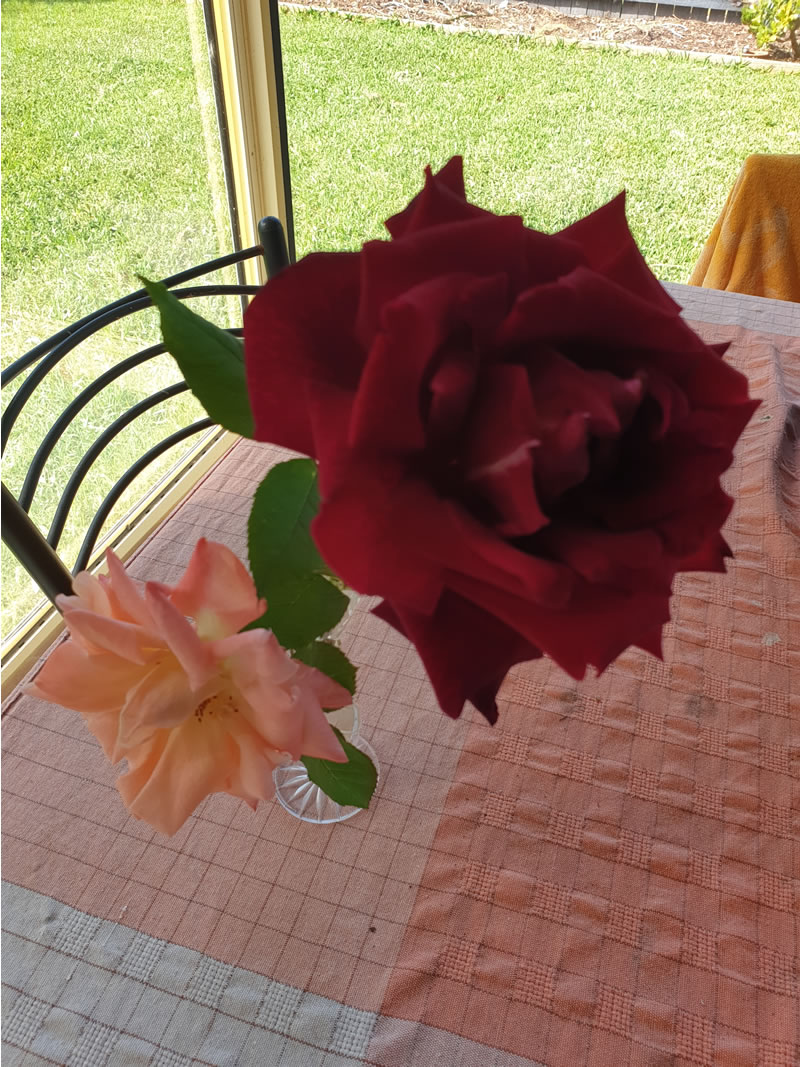 6 Ways to Combat Social Isolation