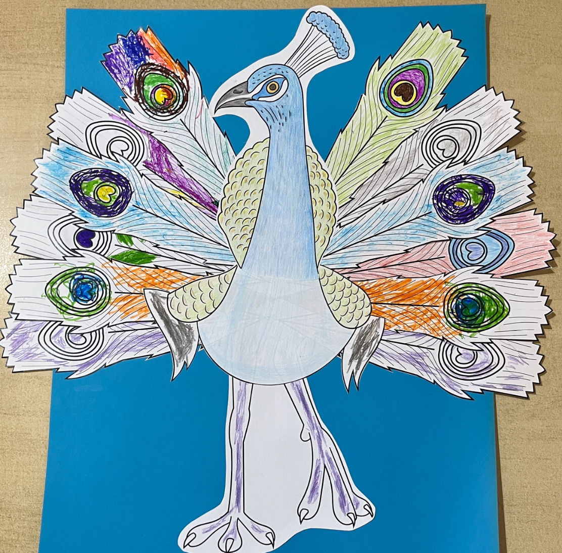 Peacock Collage Group Project