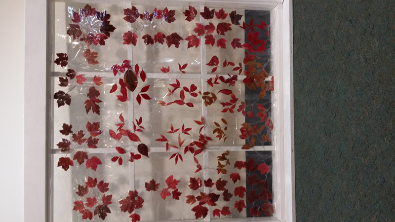 Laminating Leaves