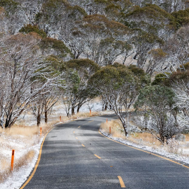 June Events & Ideas | Activities Calendar